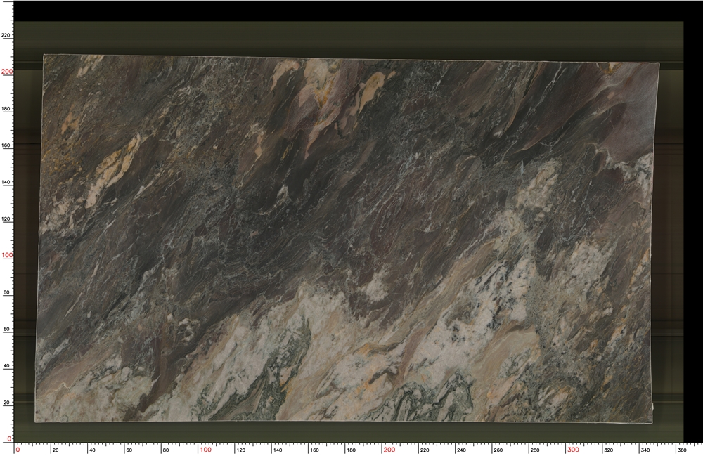Nero Picasso Gold Quartzite Slabs : 44.252㎡ in stock