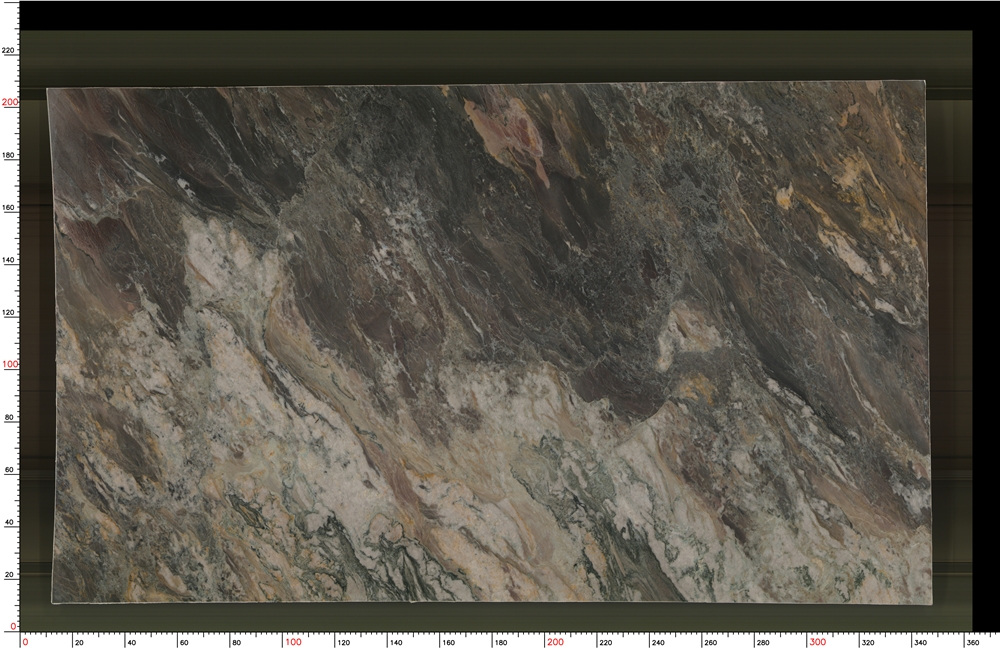 Nero Picasso Gold Quartzite Slabs : 44.252㎡ in stock