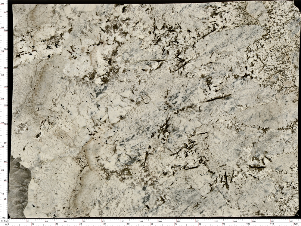 Silver Fox Granite Slabs - M9376