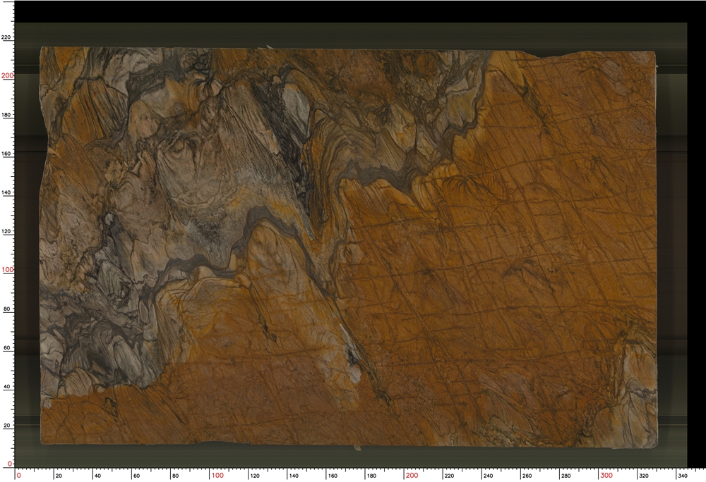 Golden Autumn Quartzite Slabs - M8407