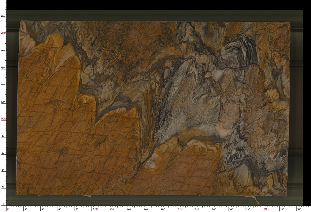 Golden Autumn Quartzite Slabs - M8407