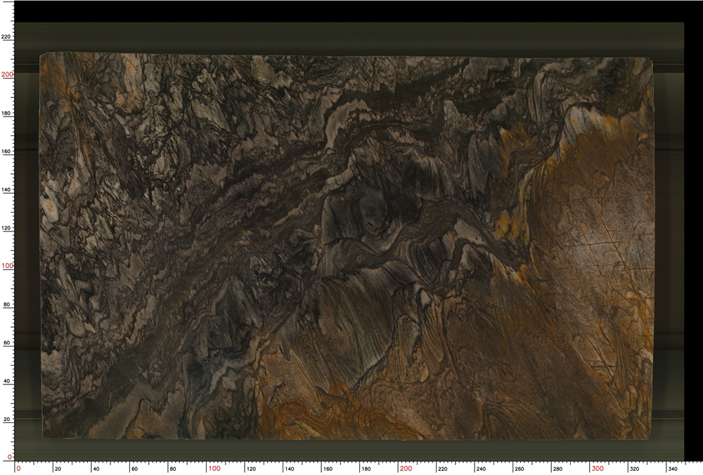 Golden Autumn Quartzite Slabs - M8407