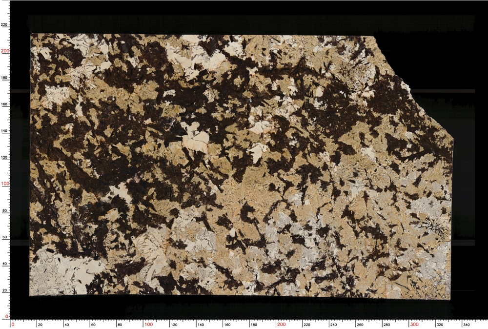 Snow Mountain Granite Slabs : 36.259㎡ in stock