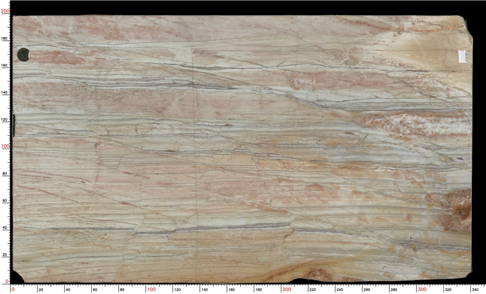 Calypso Gold Quartzite Slabs : 55.825㎡ in stock