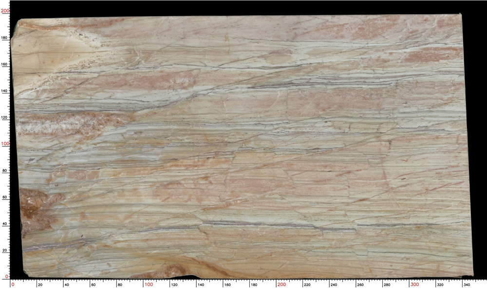 Calypso Gold Quartzite Slabs : 55.825㎡ in stock
