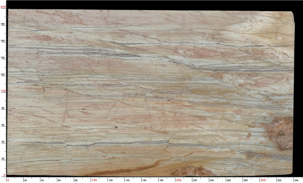 Calypso Gold Quartzite Slabs : 55.825㎡ in stock