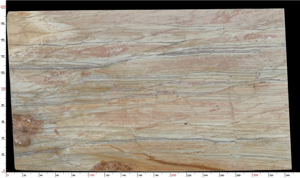 Calypso Gold Quartzite Slabs : 55.825㎡ in stock