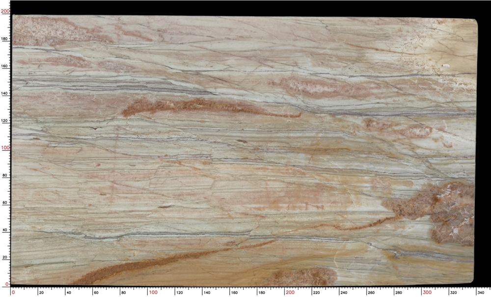 Calypso Gold Quartzite Slabs : 55.825㎡ in stock