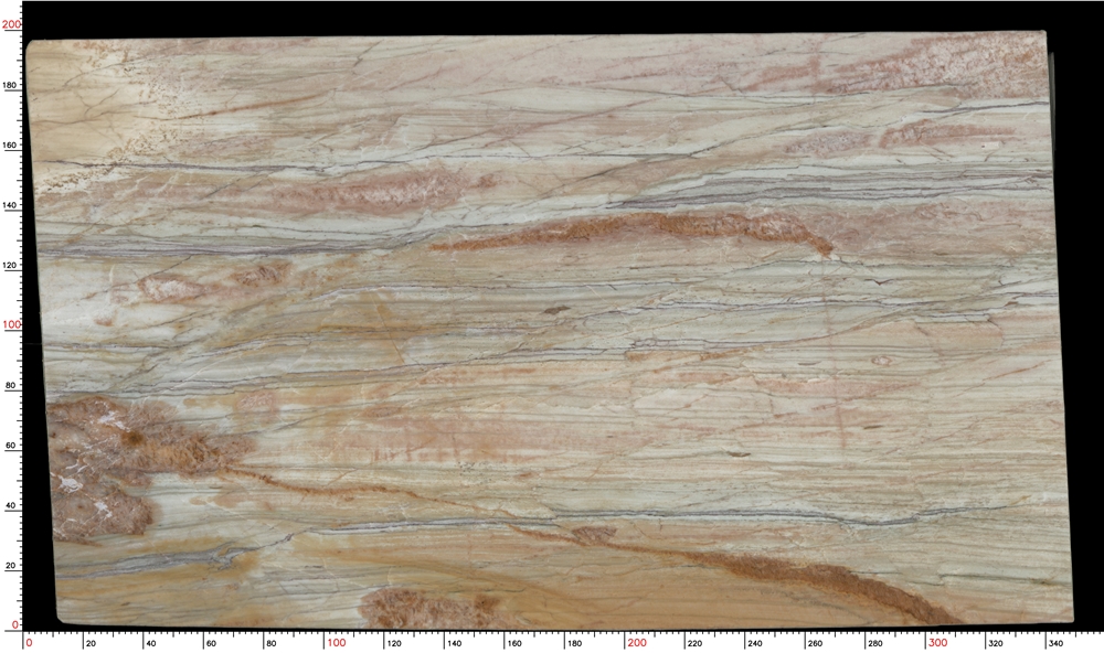 Calypso Gold Quartzite Slabs : 55.825㎡ in stock